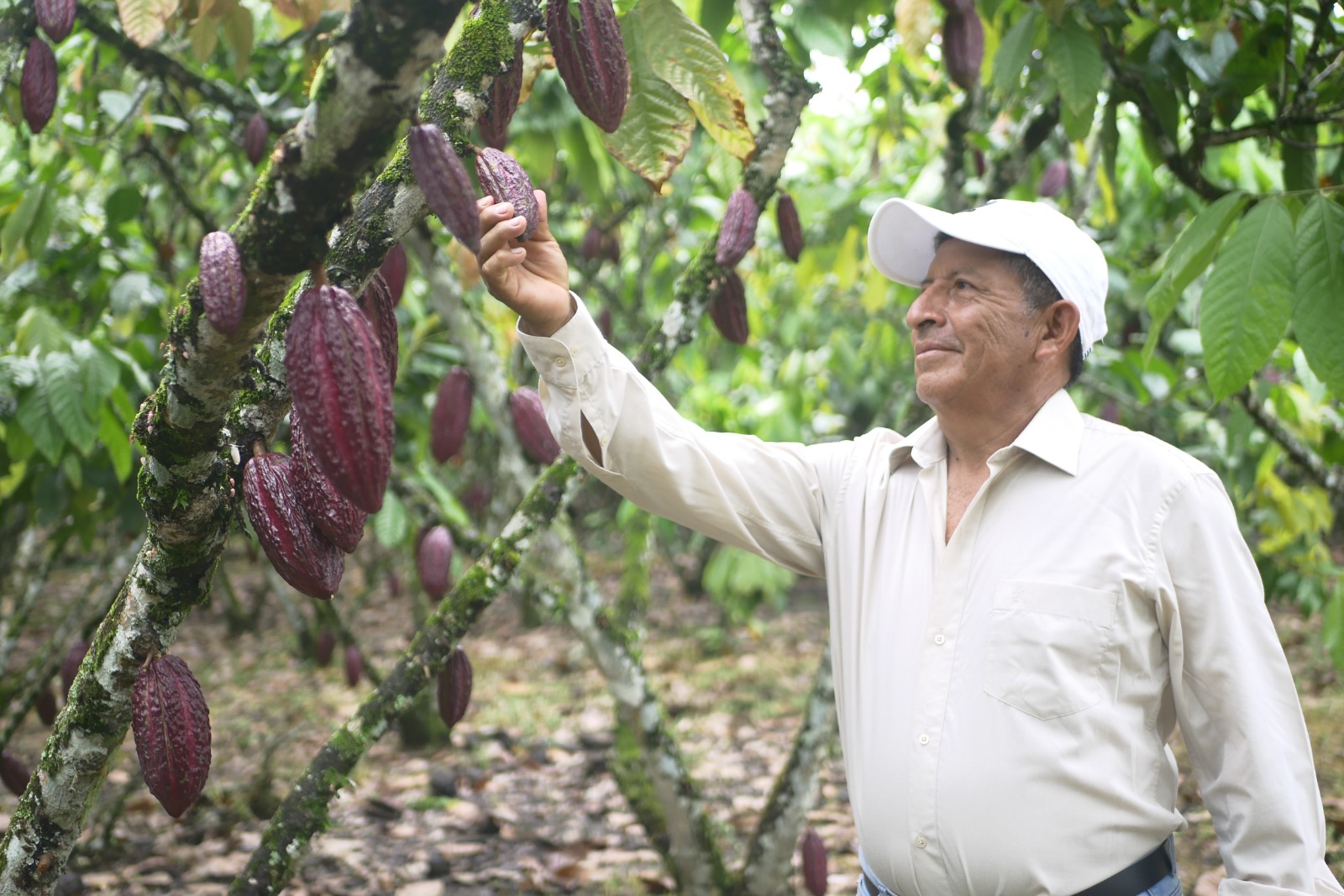 ECUADOR La nutrición sostenible de cultivos es una realidad para ...