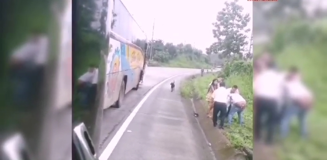 MANABÍ Chófer y oficial de buses se paran en plena vía para pelear ...