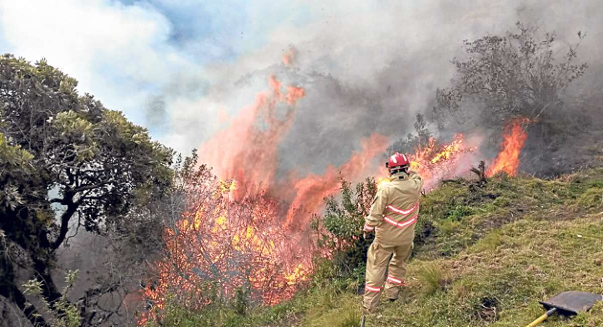 ECUADOR Alerta por incendios forestales en la cuenca Amazónica ...